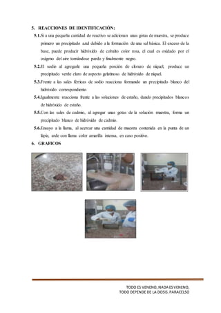 Informe hidroxido | DOCX