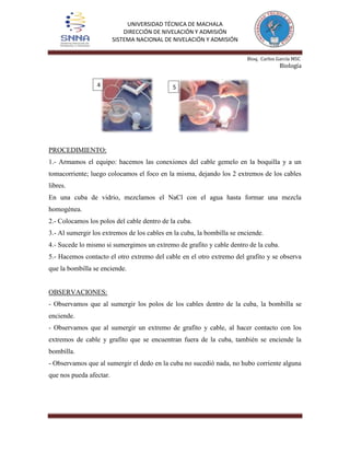 EXPERIMENTO: FORMACIÓN DE UN ELECTROLITO (Informe) | DOCX