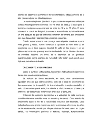 Informe la adolescencia | DOC