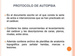 Informe medico | PPTX