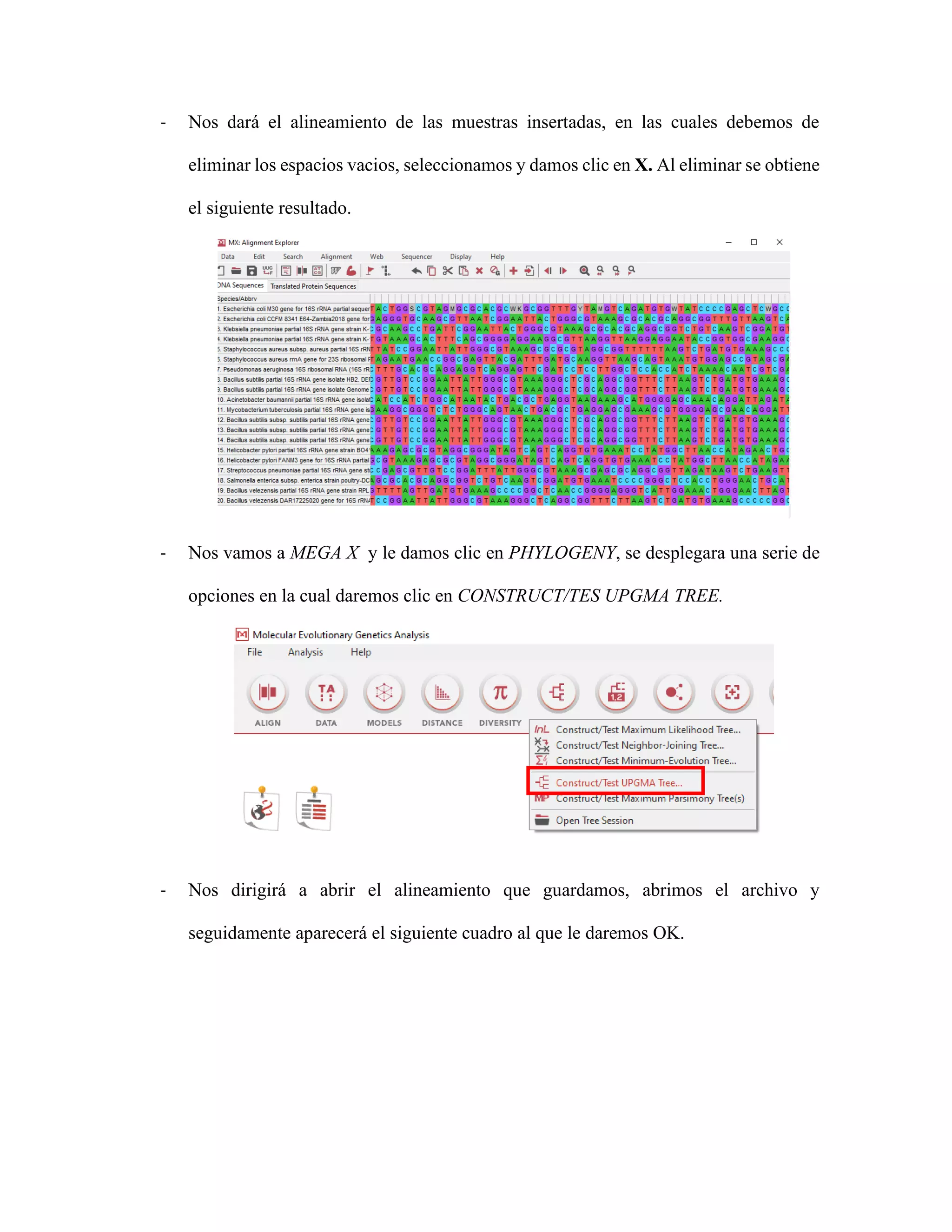Informe n°02 informe de uso del software mega dna | PDF