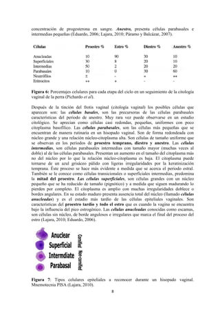 Citología vaginal exfoliativa canina | PDF
