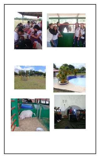 Informe parque explora | DOCX