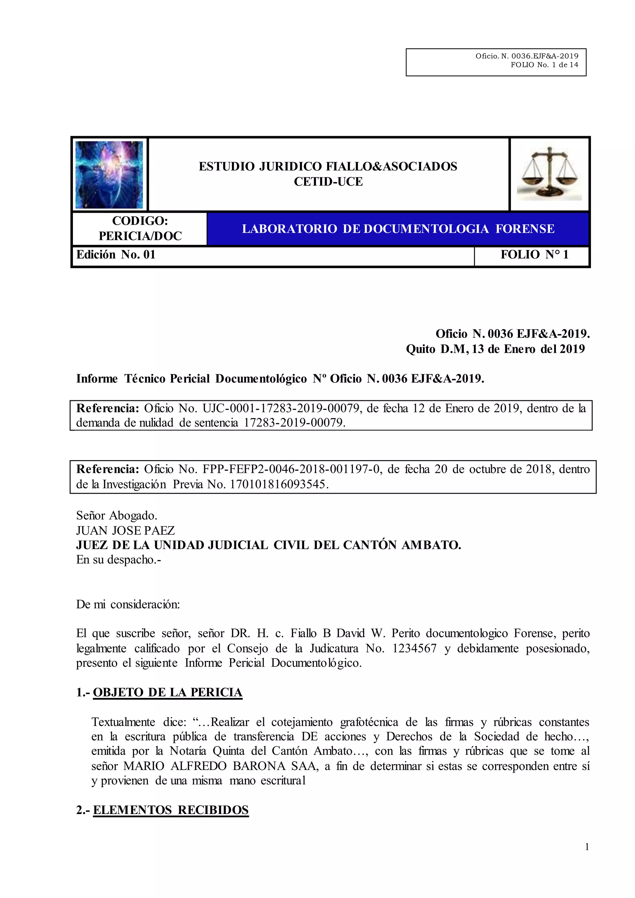 Informe Pericial Forense 2019 | DOCX