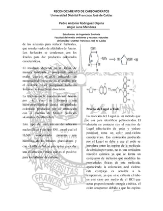 Informe practica #1 (carbohidratos) | DOCX
