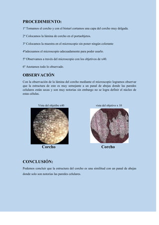 INFORMES DE BIOLOGÍA | DOCX