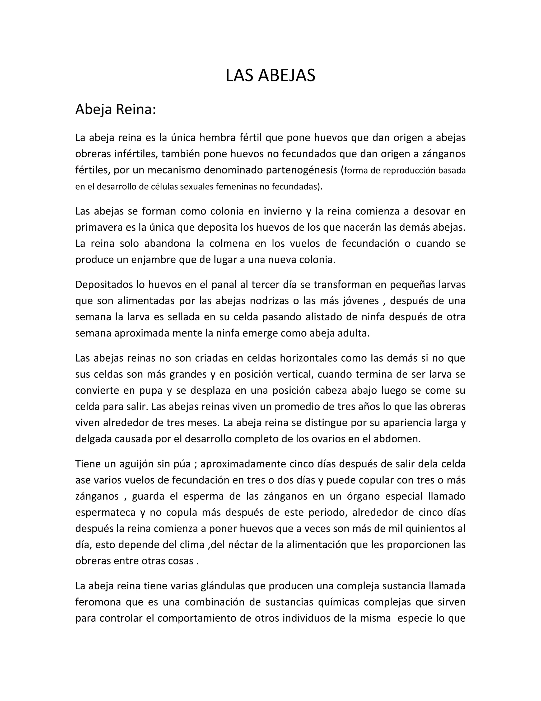 Informe sobre las abejas | DOCX
