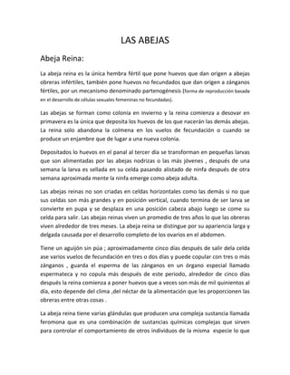 Informe sobre las abejas | DOCX