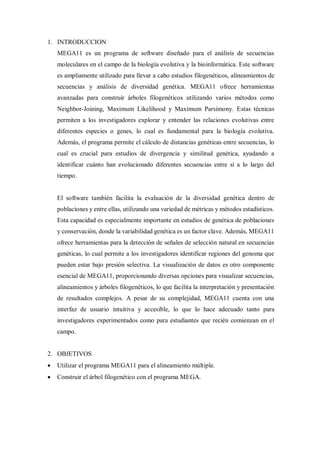 INFORME SOFTWARE MEGA11 - PORTOCARRERO CACERES ANDREA.pdf