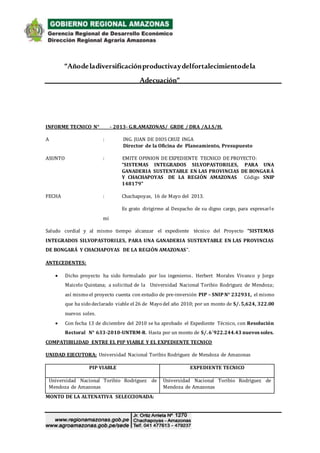 Informe tecnico pip valor | DOCX