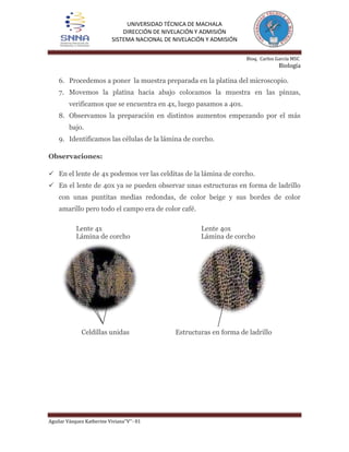 Observación de las células del corcho (Informe) | DOCX