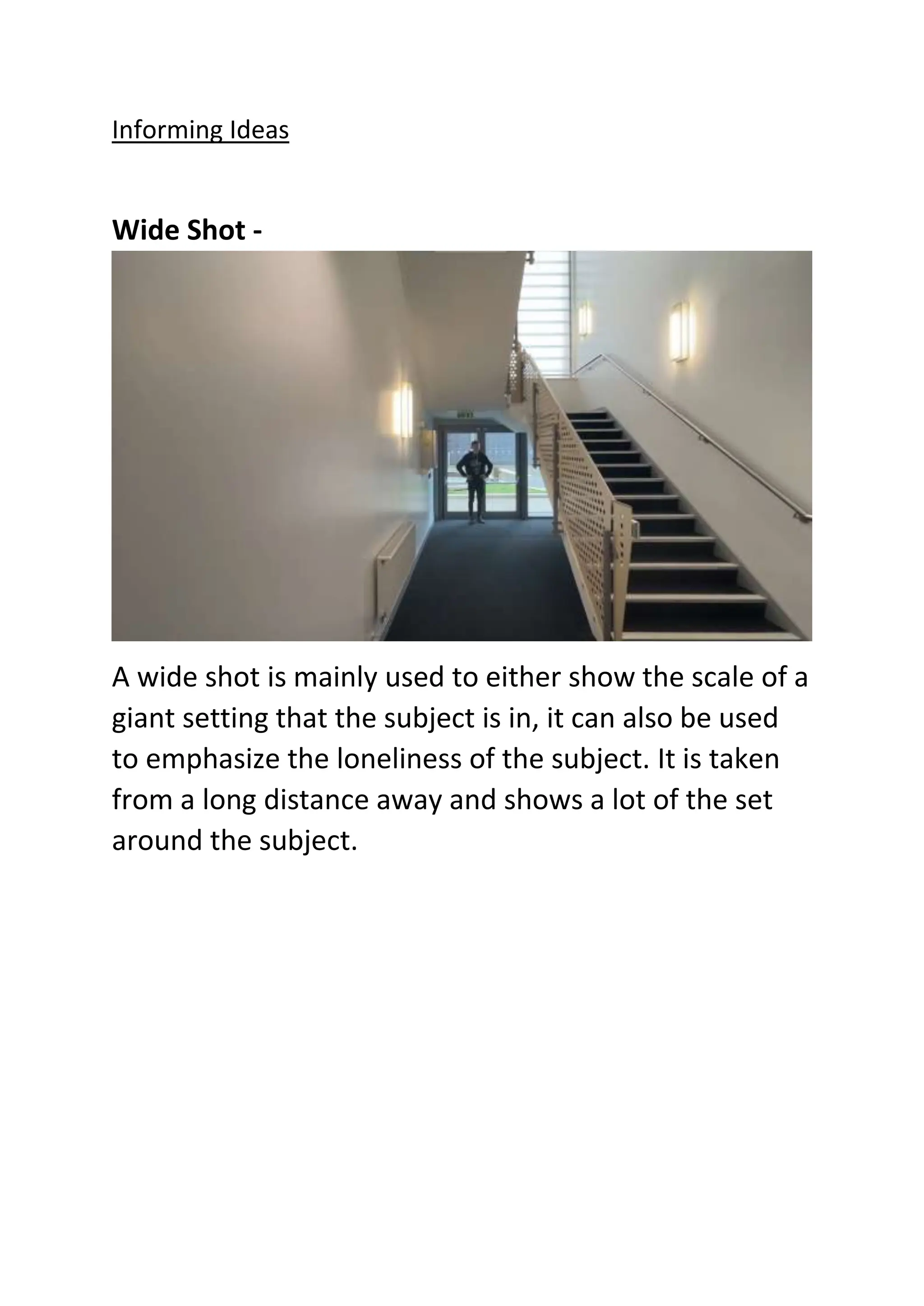 Informing Ideas.docx