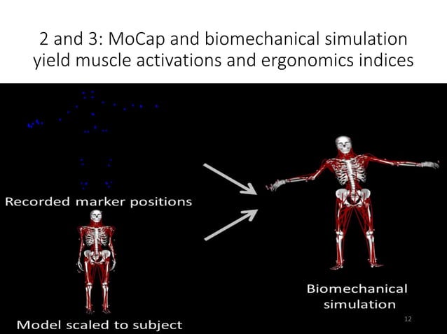 Informing the design of novel input methods with muscle coactivation ...