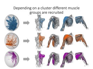 Informing the design of novel input methods with muscle coactivation ...