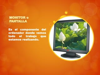 Informática para mayores leccion 1 | PPSX