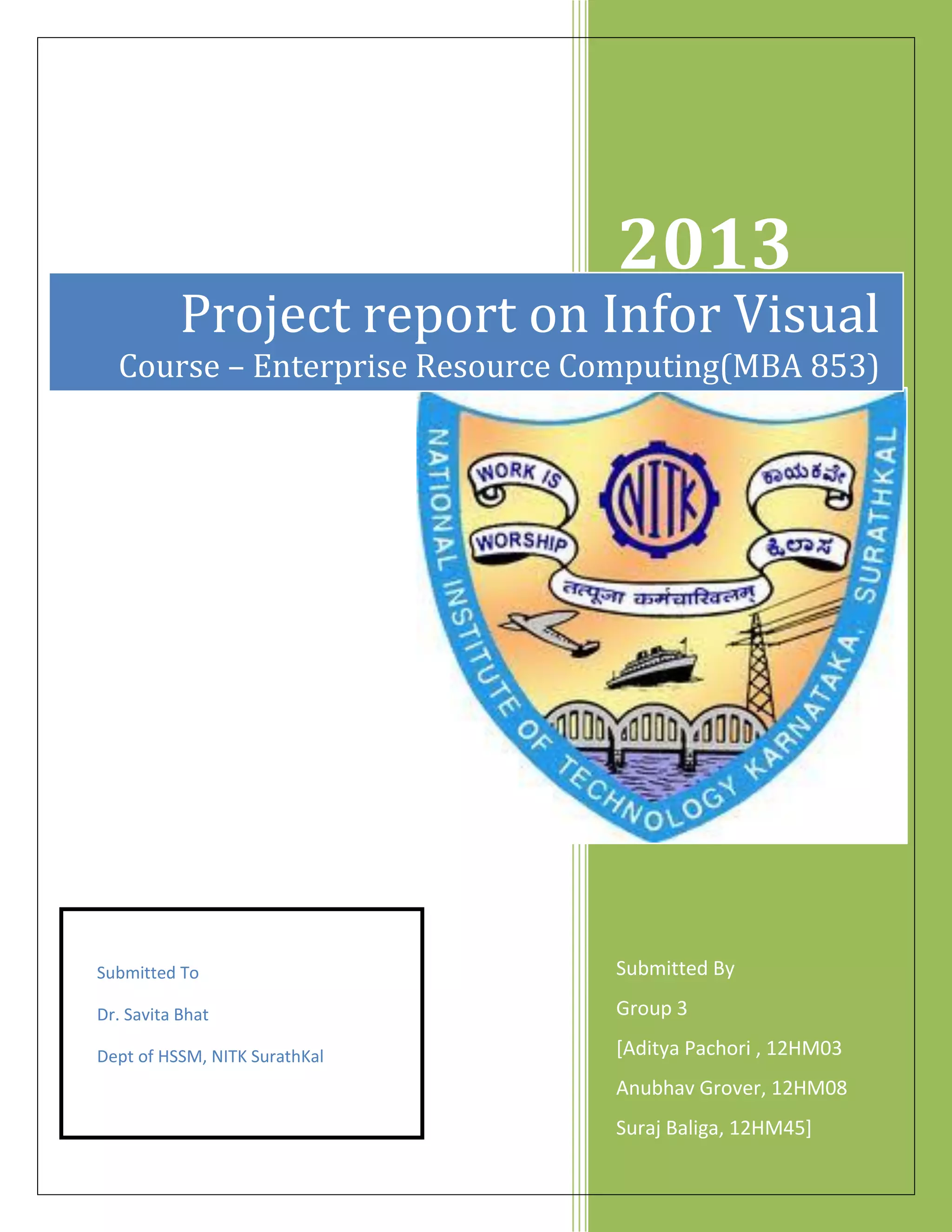 Report on Infor Visual | PDF | Information Services Industry | Industries