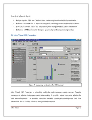 Report on Infor Visual | PDF | Information Services Industry | Industries