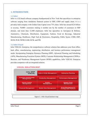 Report on Infor Visual | PDF | Information Services Industry | Industries