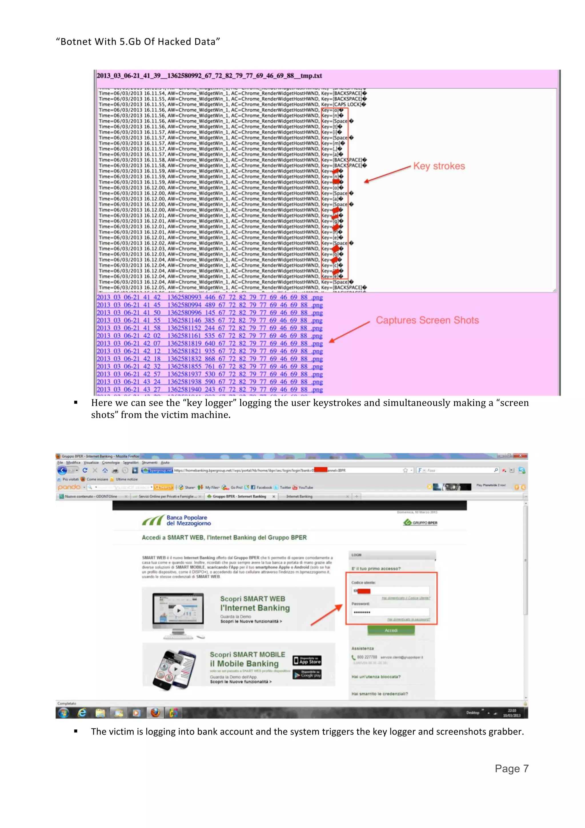 Infostealer Botnet Reveal | PDF