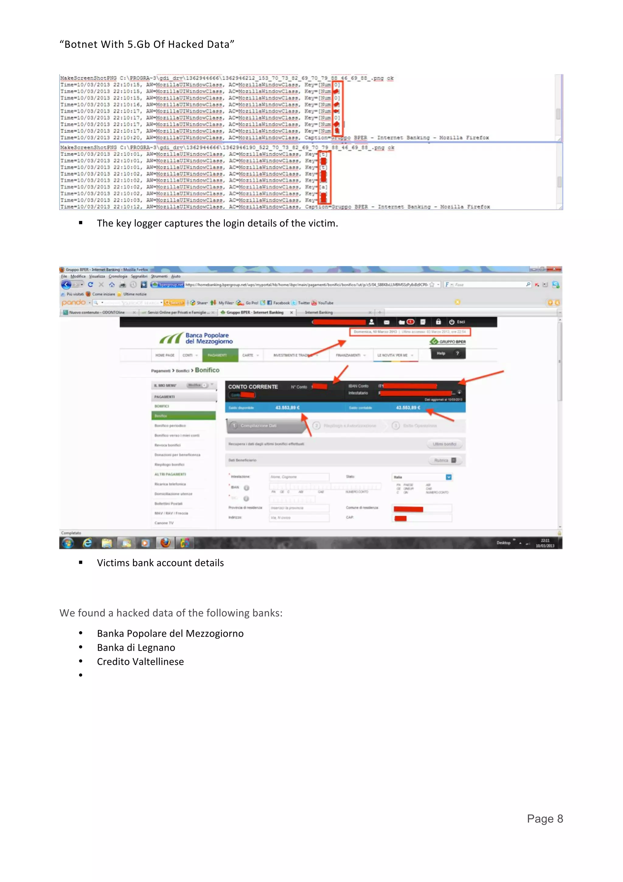 Infostealer Botnet Reveal | PDF