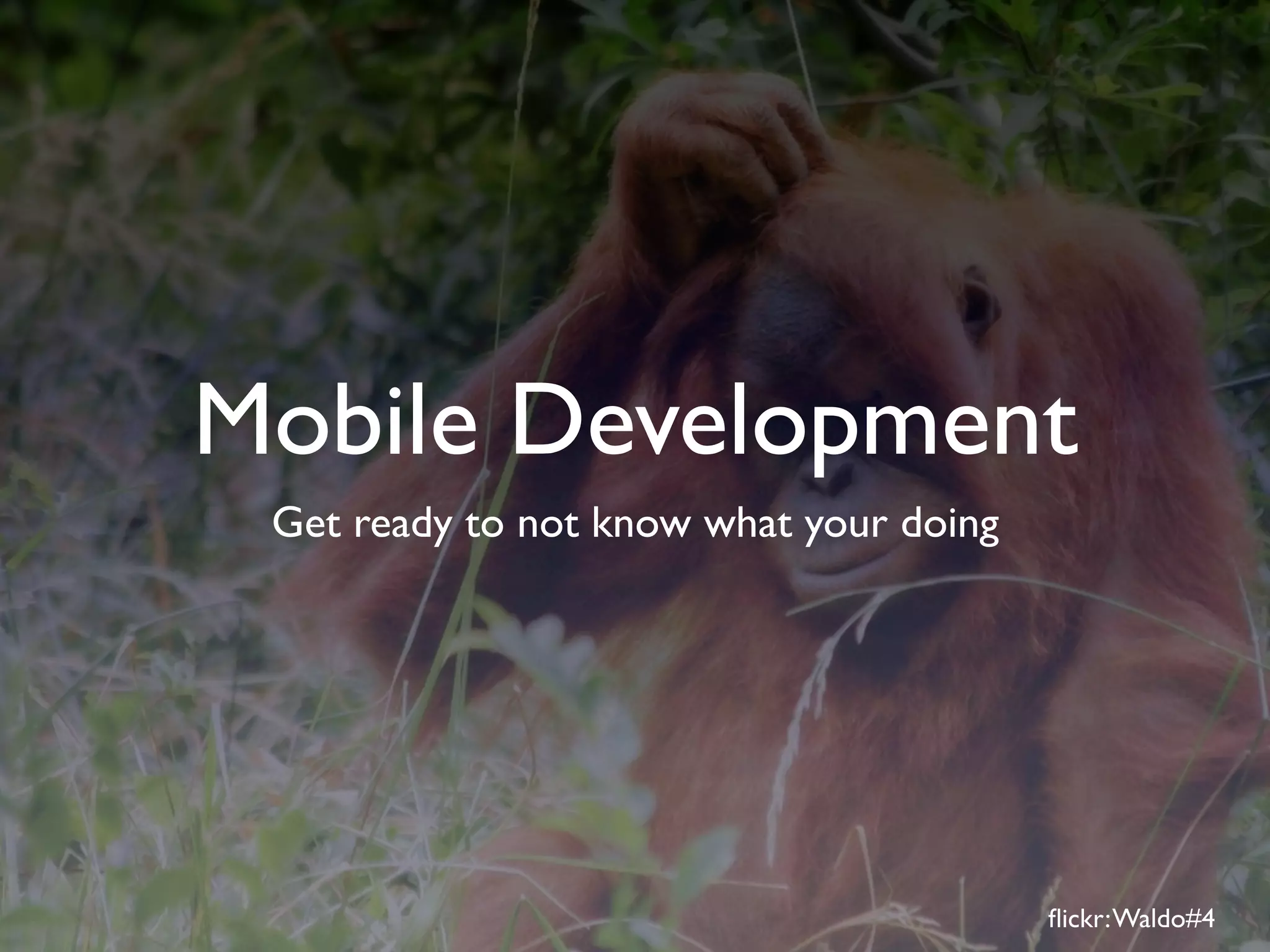 Infotec 2010 presentation | KEY | Programming Languages | Computing