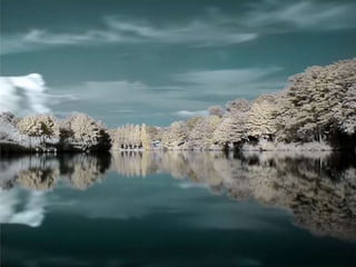 Infrared photography (catherine) | PPSX