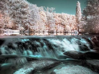 Infrared photography (catherine) | PPSX