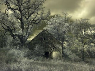 Infrared photography (catherine) | PPSX