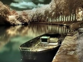 Infrared photography (catherine) | PPSX