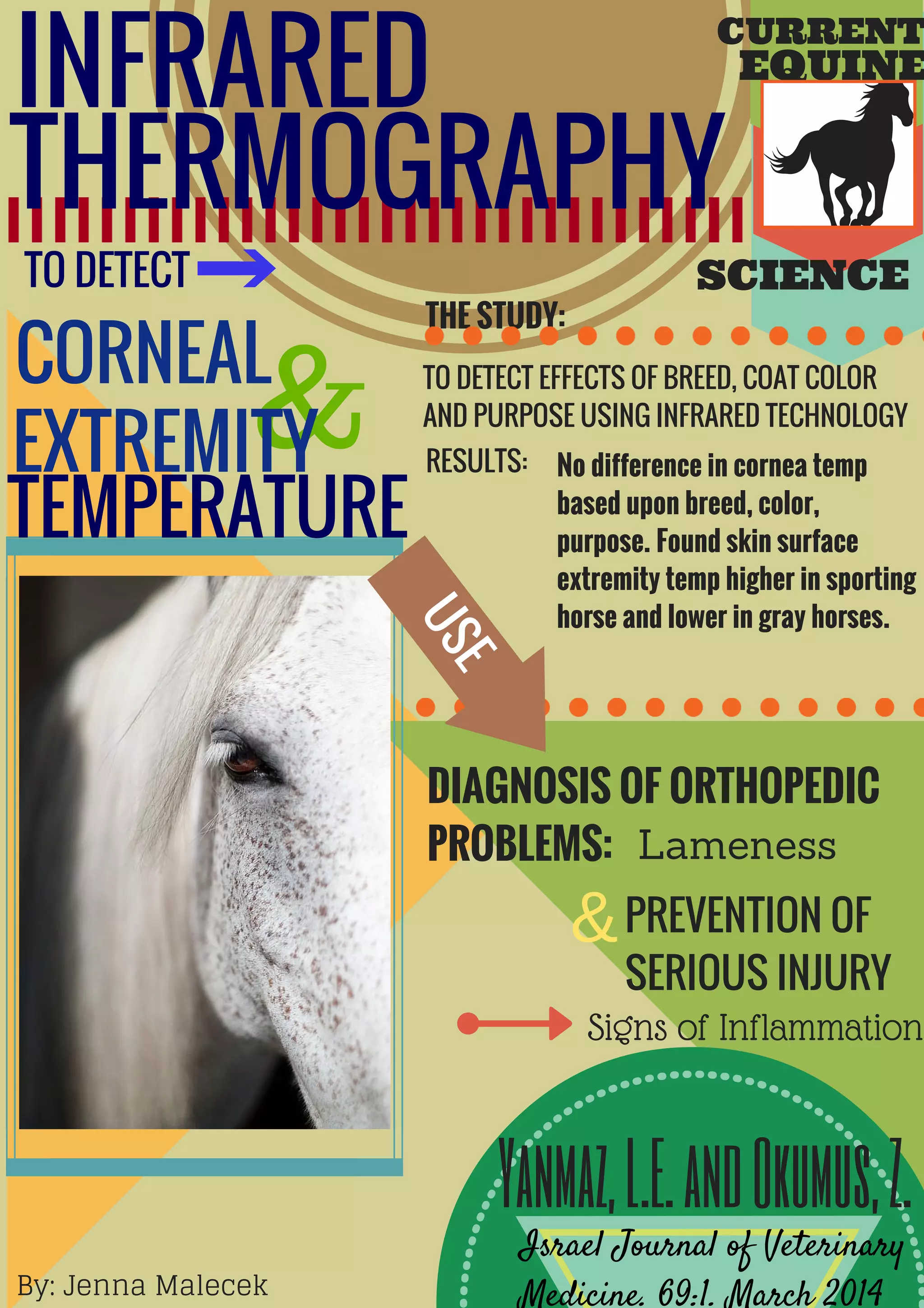 Infrared Thermography in Horses | PDF