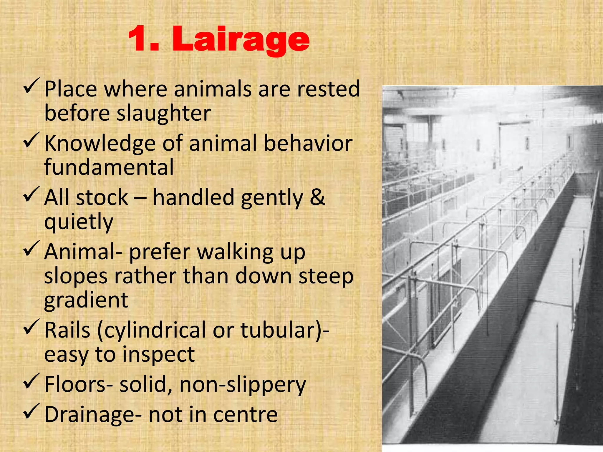 Infrastructure req of modern slaughterhouse | PPTX
