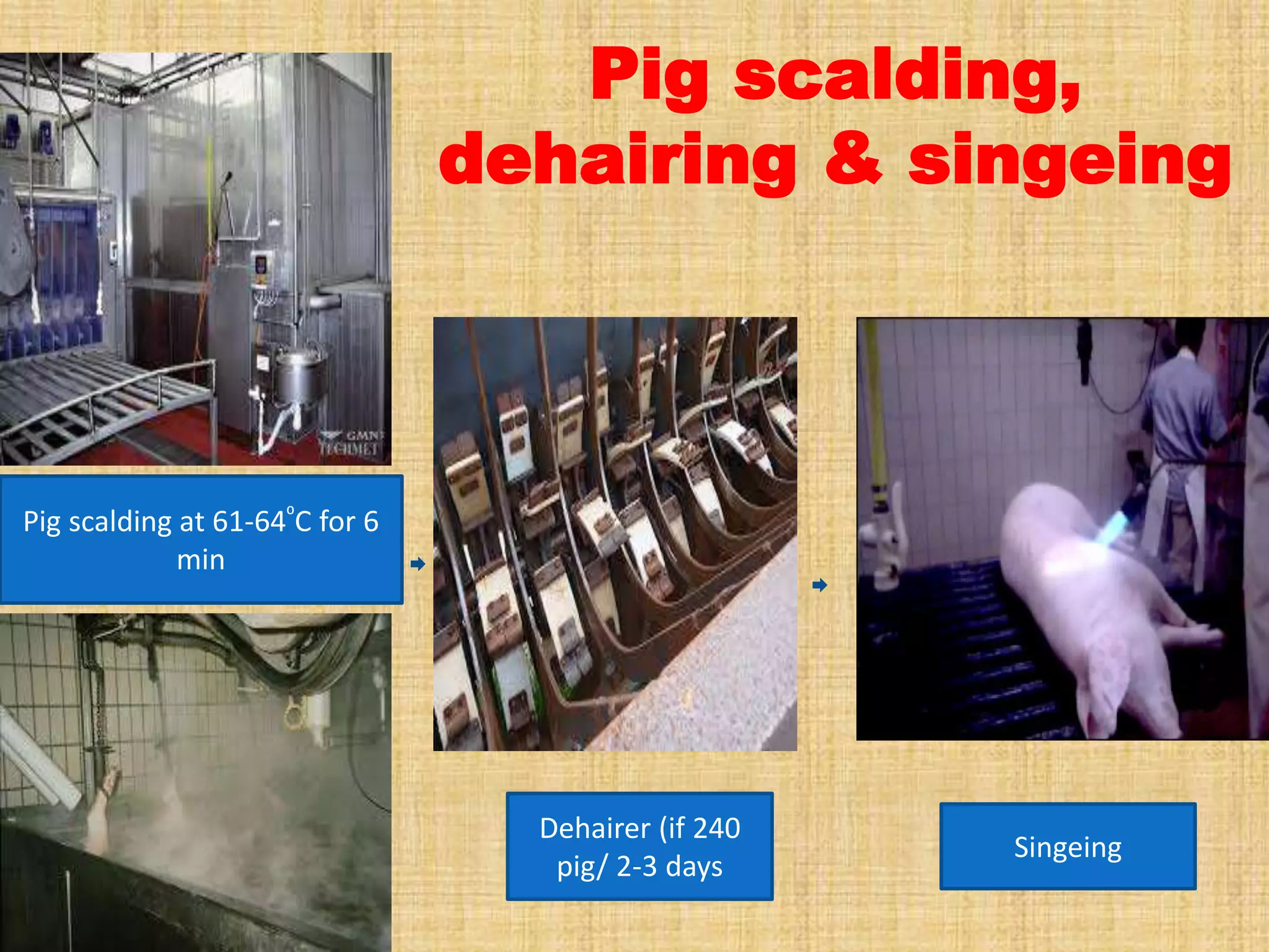 Infrastructure req of modern slaughterhouse | PPTX