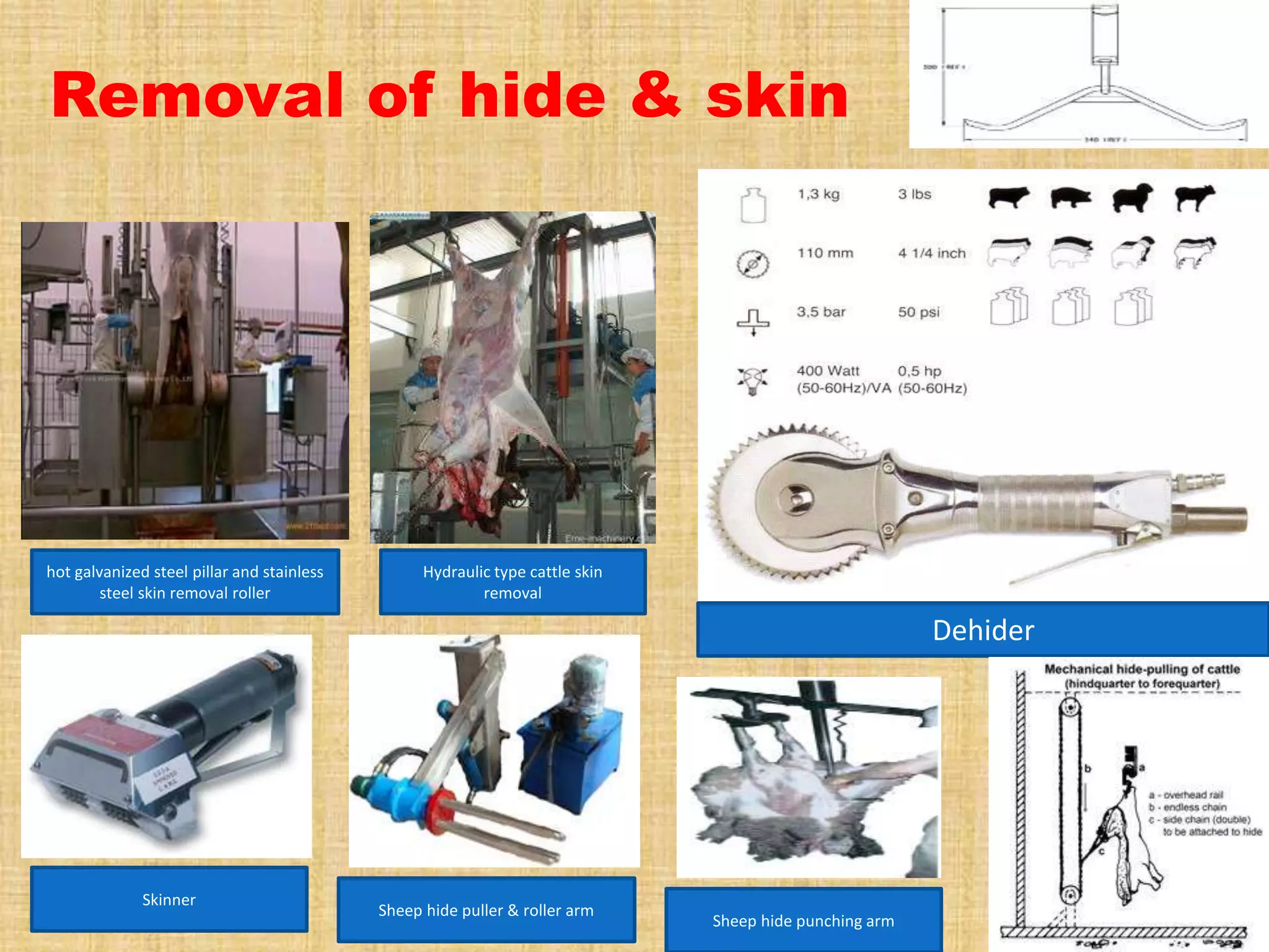 Infrastructure req of modern slaughterhouse | PPTX