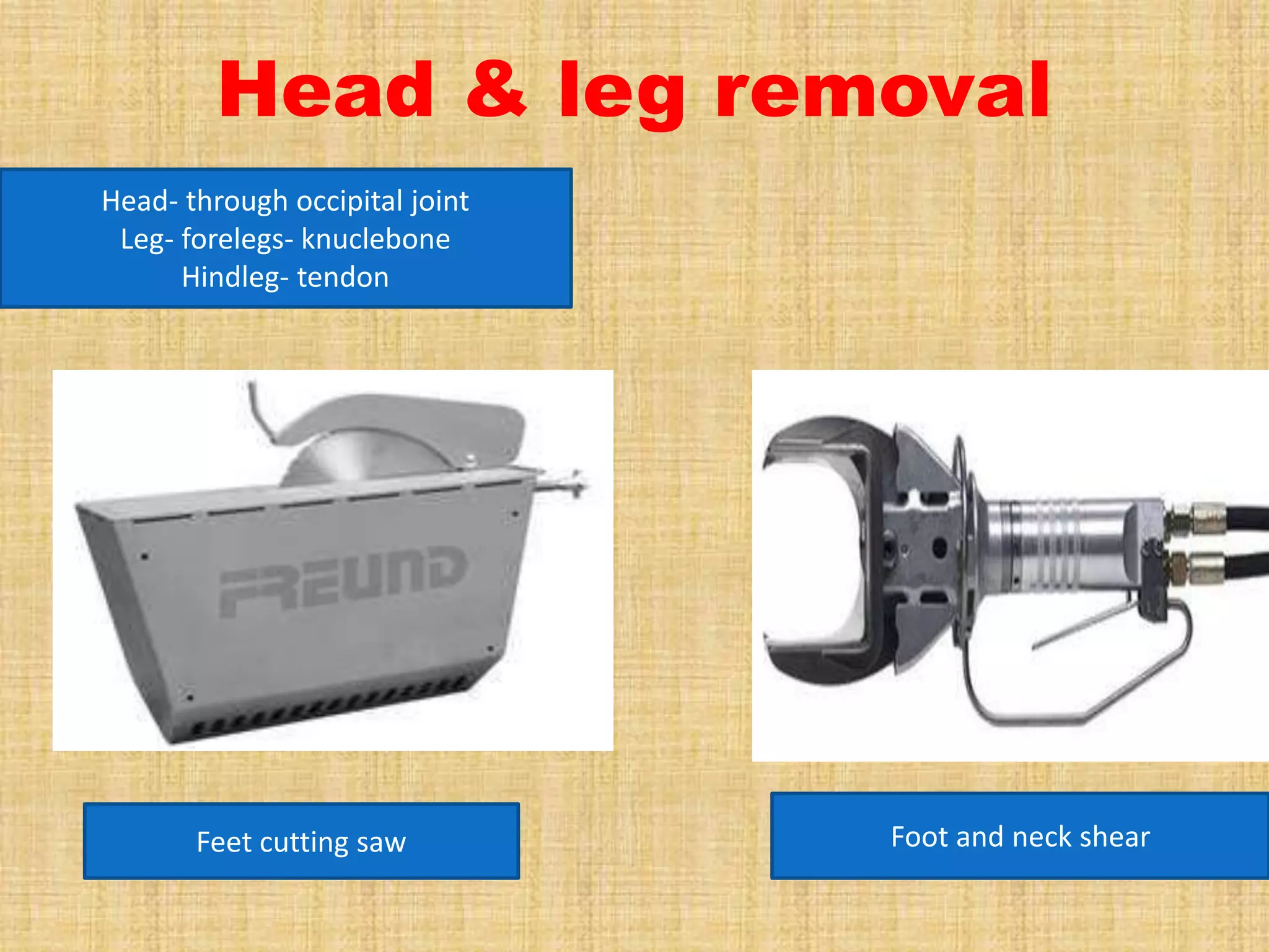 Infrastructure req of modern slaughterhouse | PPTX