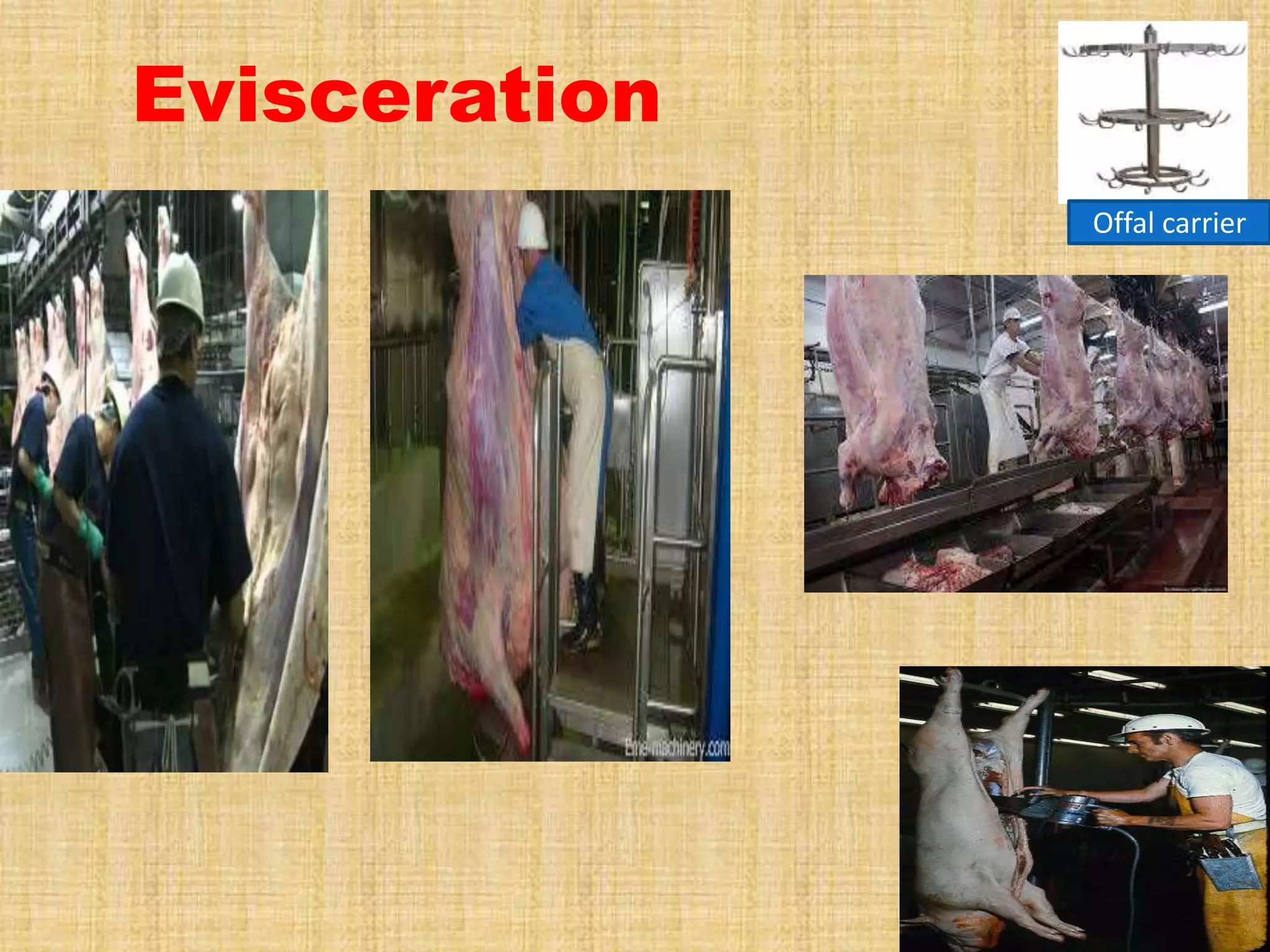 Infrastructure req of modern slaughterhouse | PPTX