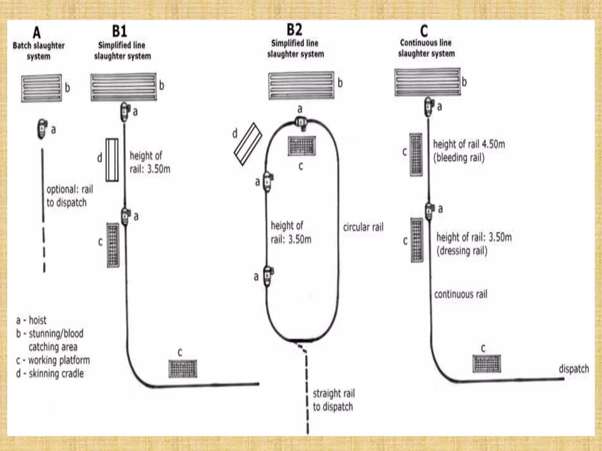 Infrastructure req of modern slaughterhouse | PPTX