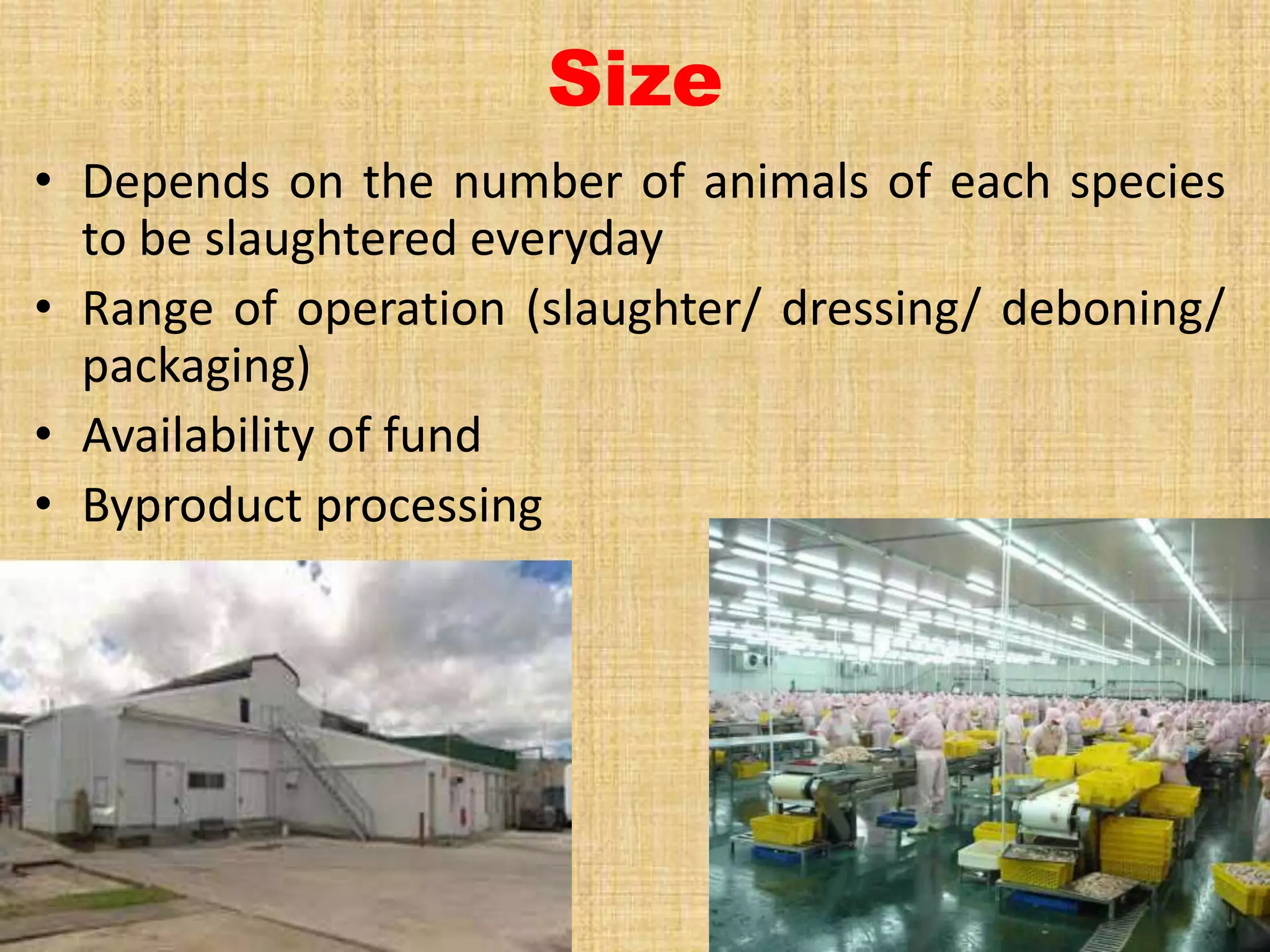 Infrastructure req of modern slaughterhouse | PPTX