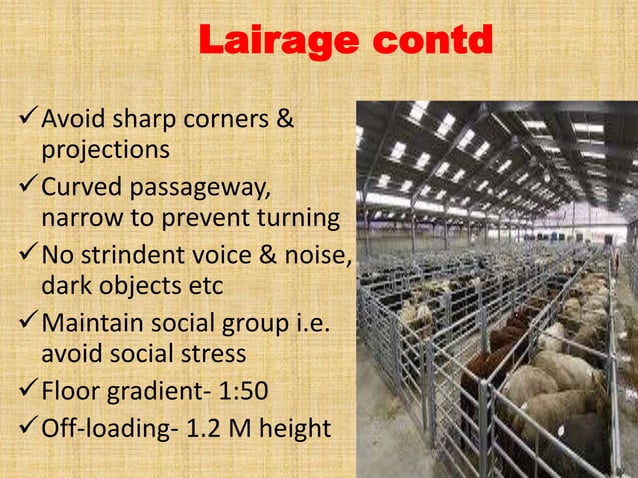 Infrastructure req of modern slaughterhouse | PPTX