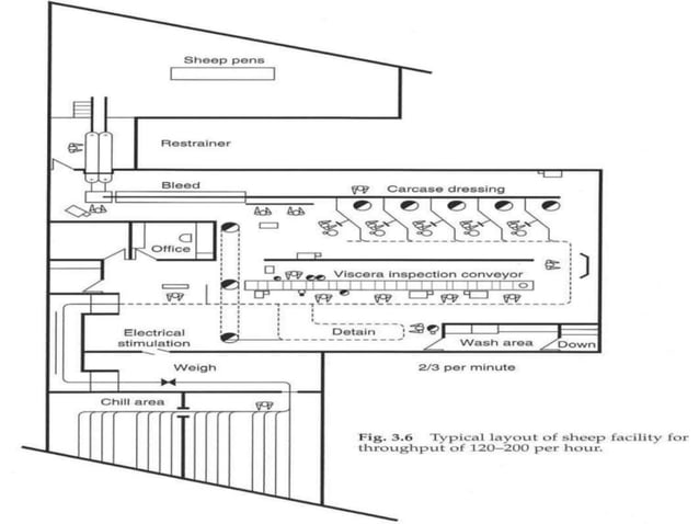 Infrastructure req of modern slaughterhouse | PPTX