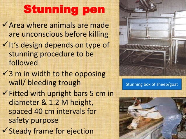 Infrastructure req of modern slaughterhouse | PPTX