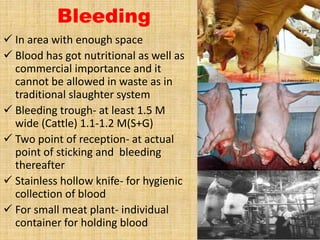 Infrastructure req of modern slaughterhouse | PPTX