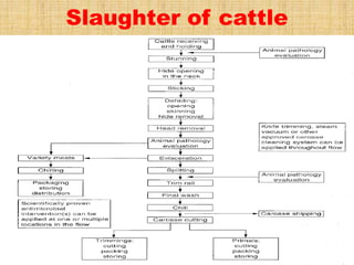 Infrastructure req of modern slaughterhouse | PPTX