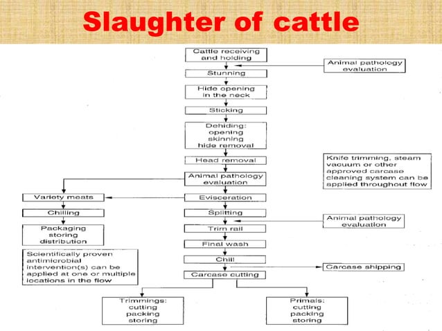 Infrastructure req of modern slaughterhouse | PPTX