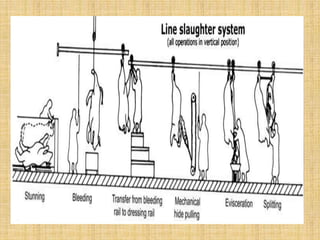 Infrastructure req of modern slaughterhouse | PPTX
