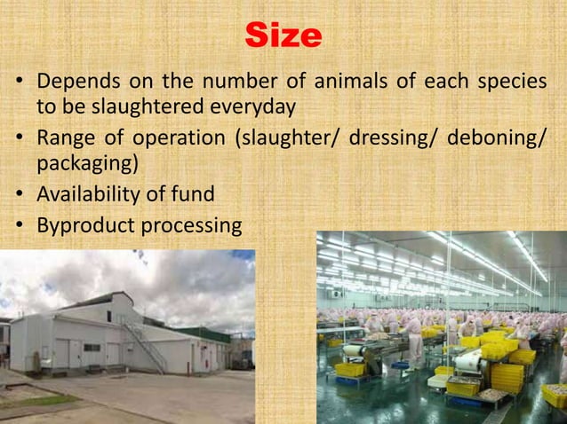 Infrastructure req of modern slaughterhouse | PPTX