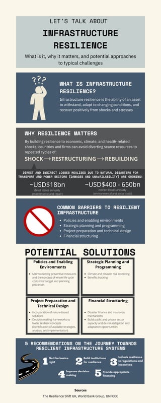 Infrastructure Resilience Infographic | PDF
