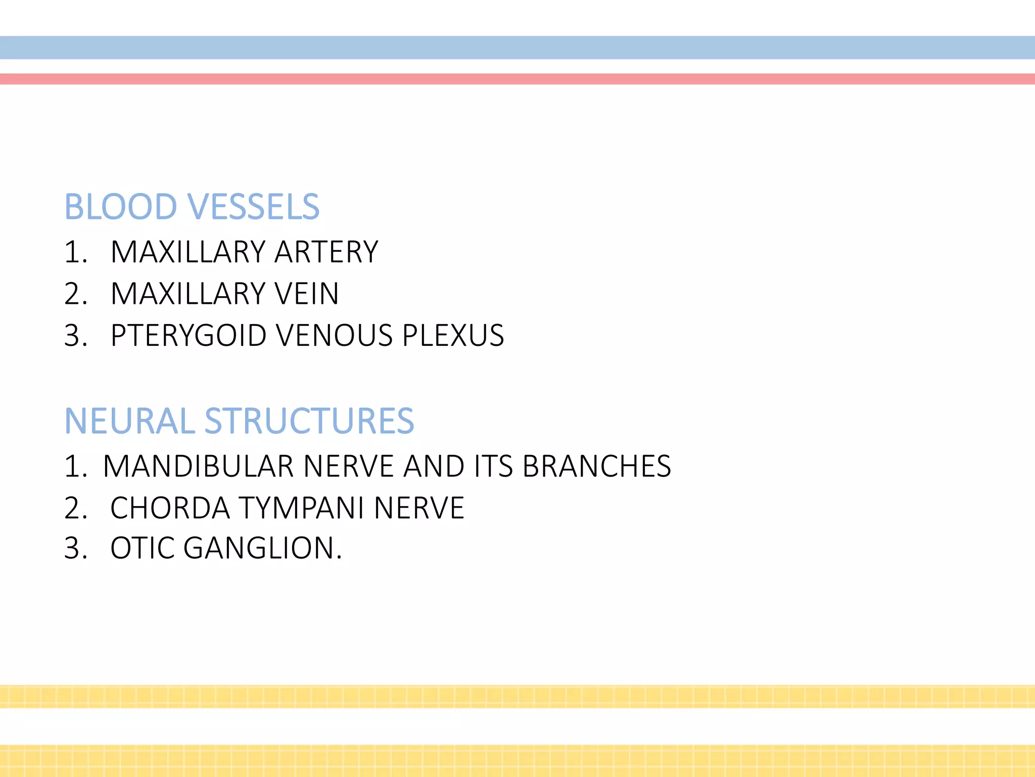 Infratemporal fossa structure | PDF