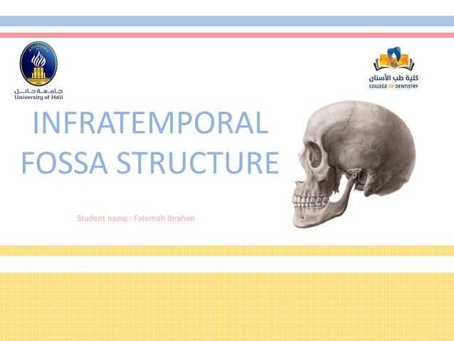 Infratemporal fossa structure | PPT