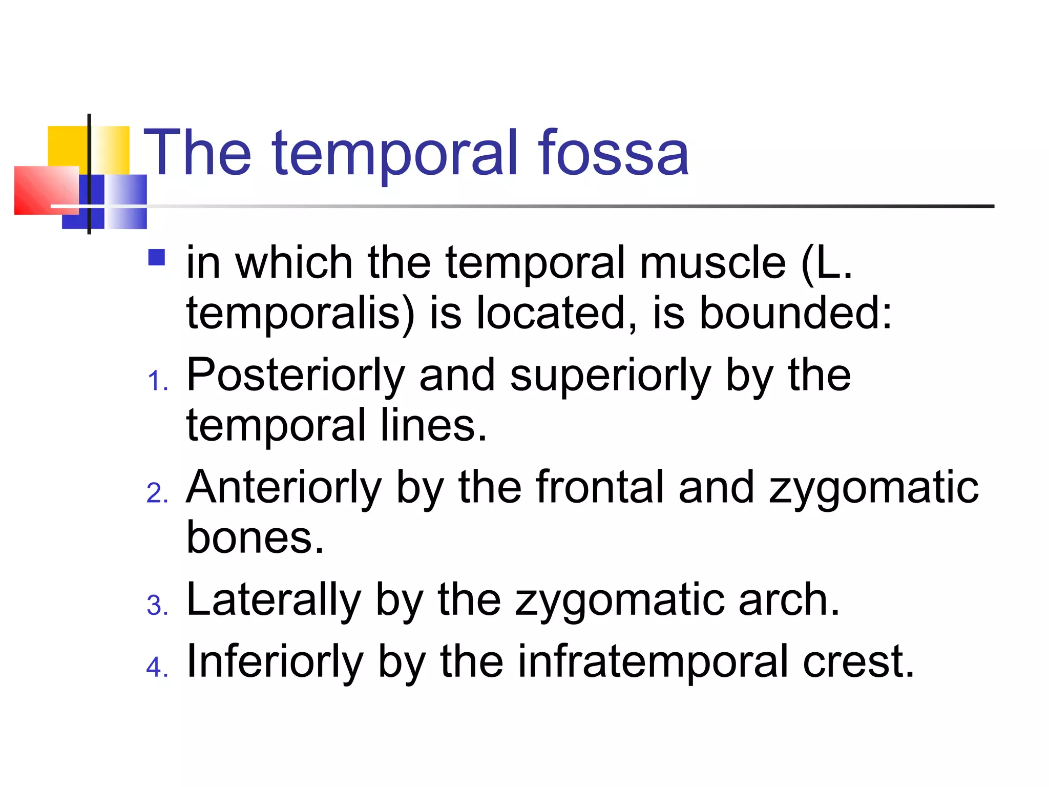 Infratemporal fossa | PPT