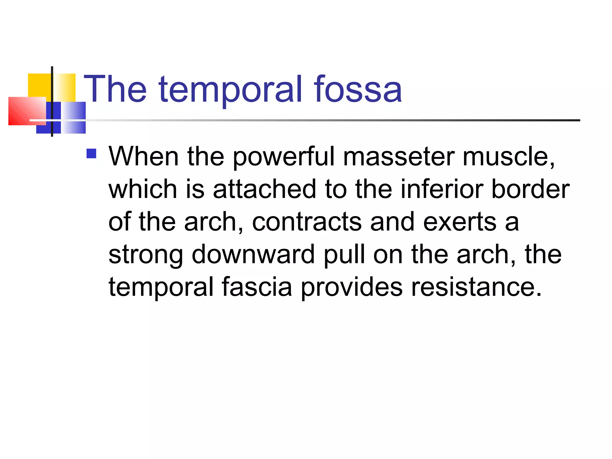 Infratemporal fossa | PPT